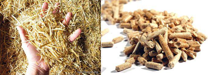 A Comprehensive Guide to Wheat Straw Pellet Production